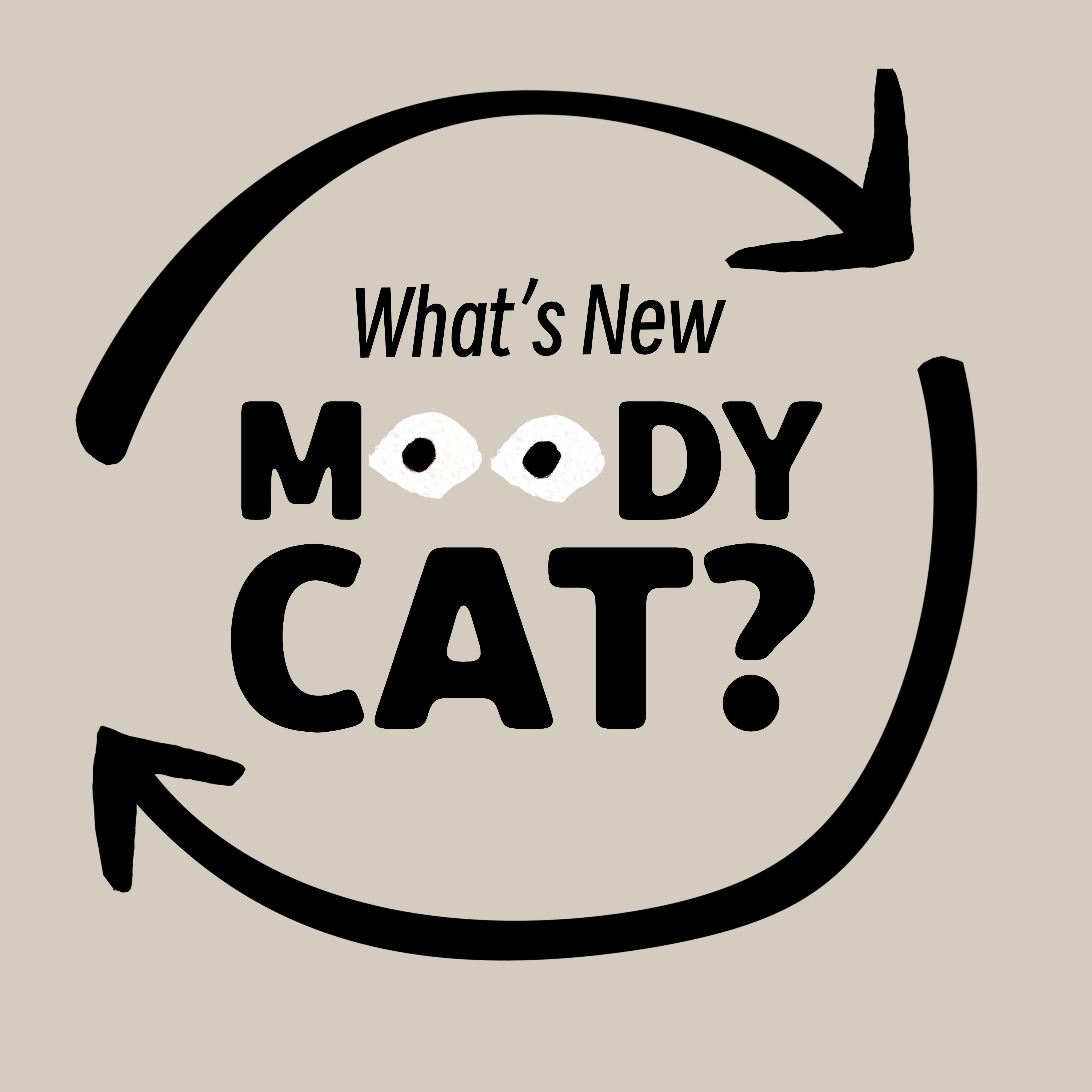 Moody Cat